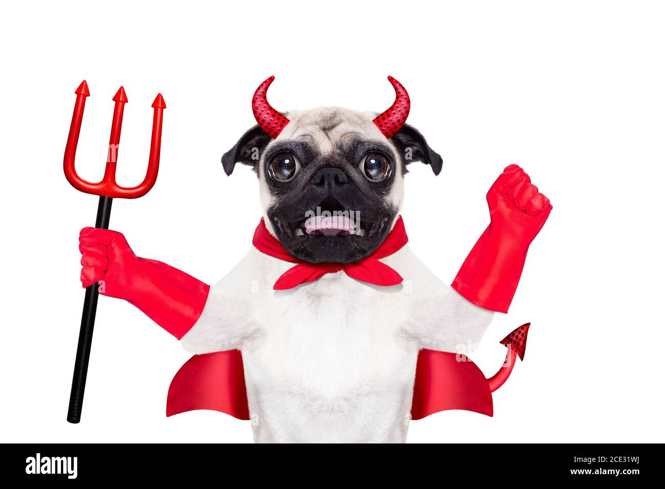 halloween devil dog Stock Photo - Alamy