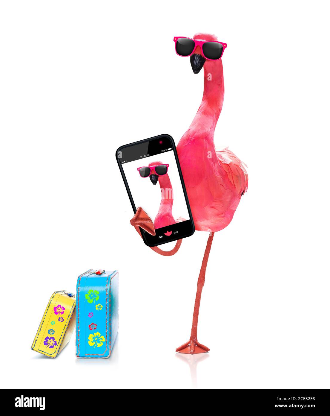 Tourist taking selfie Cut Out Stock Images & Pictures - Alamy