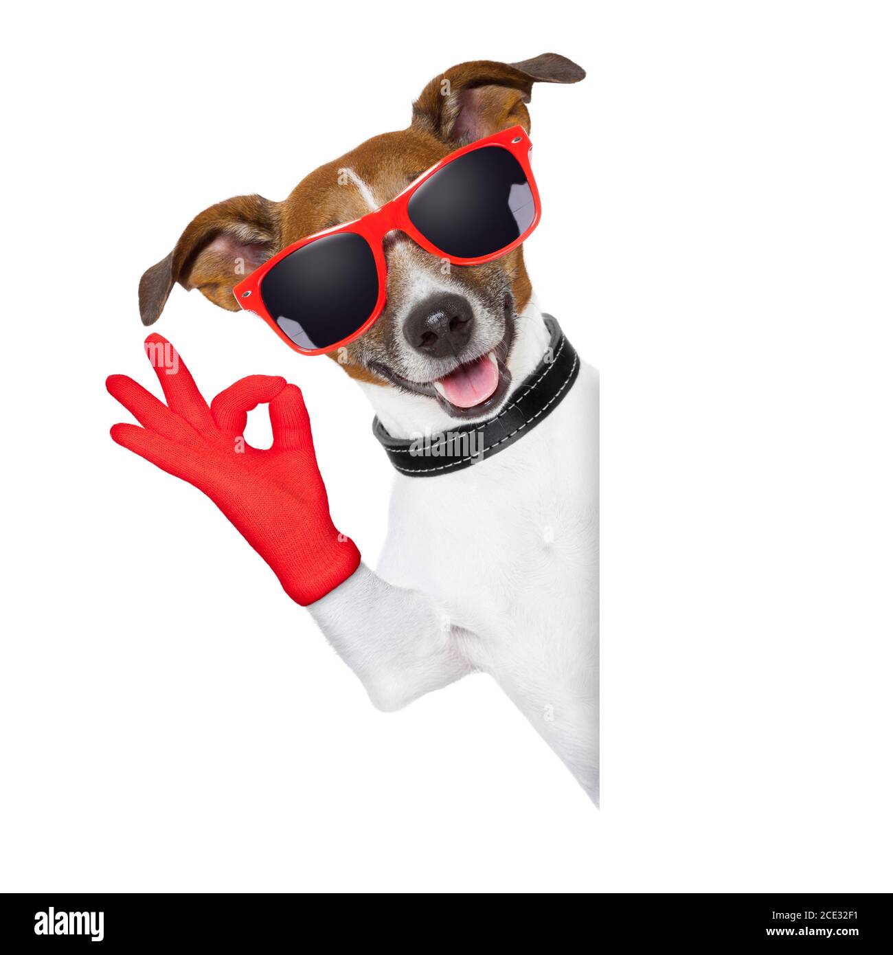 ok fingers dog Stock Photo - Alamy