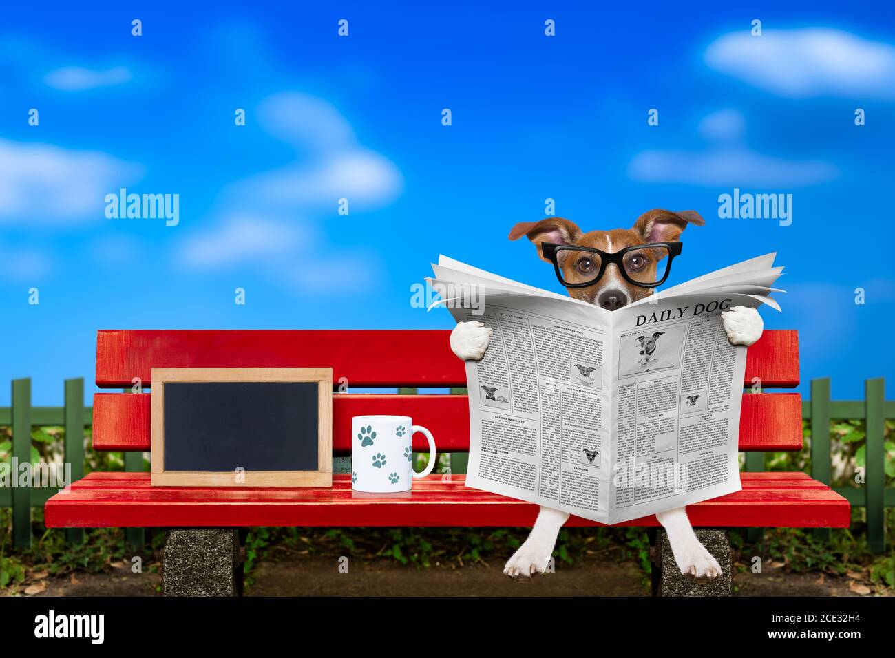 dog reading newspaper on a bench Stock Photo - Alamy