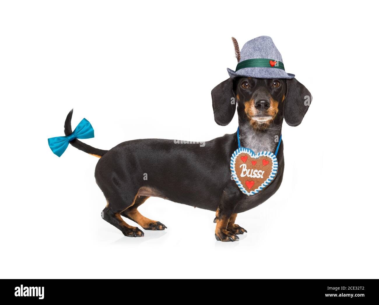 Beer toast german Cut Out Stock Images & Pictures - Alamy