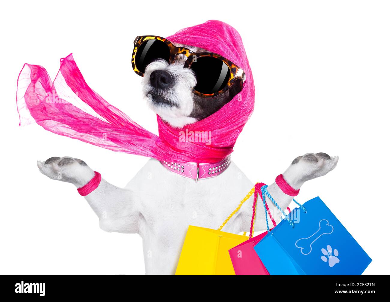 shopping diva dog Stock Photo - Alamy