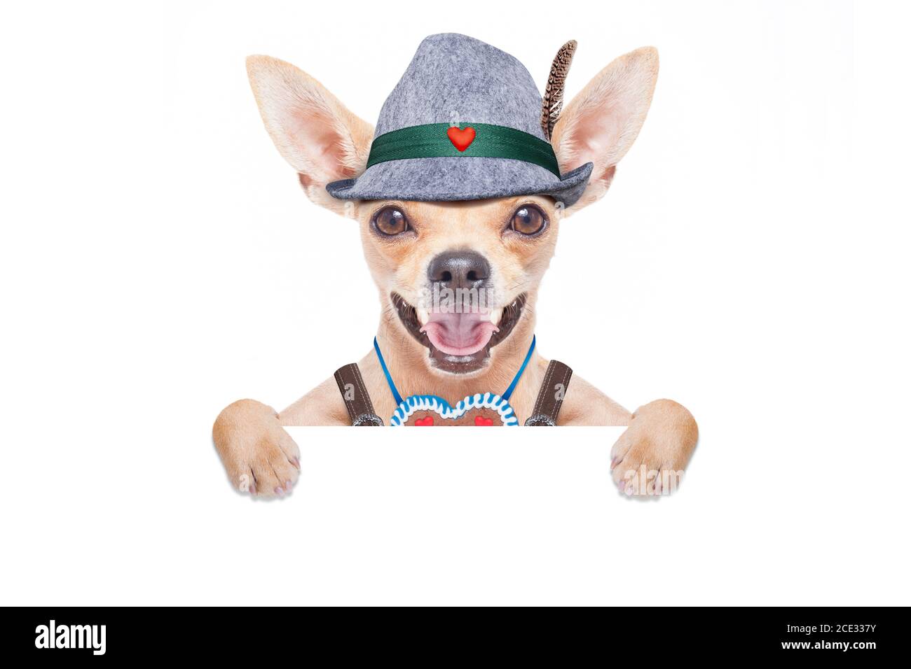Beer bavarian culture Cut Out Stock Images & Pictures - Alamy