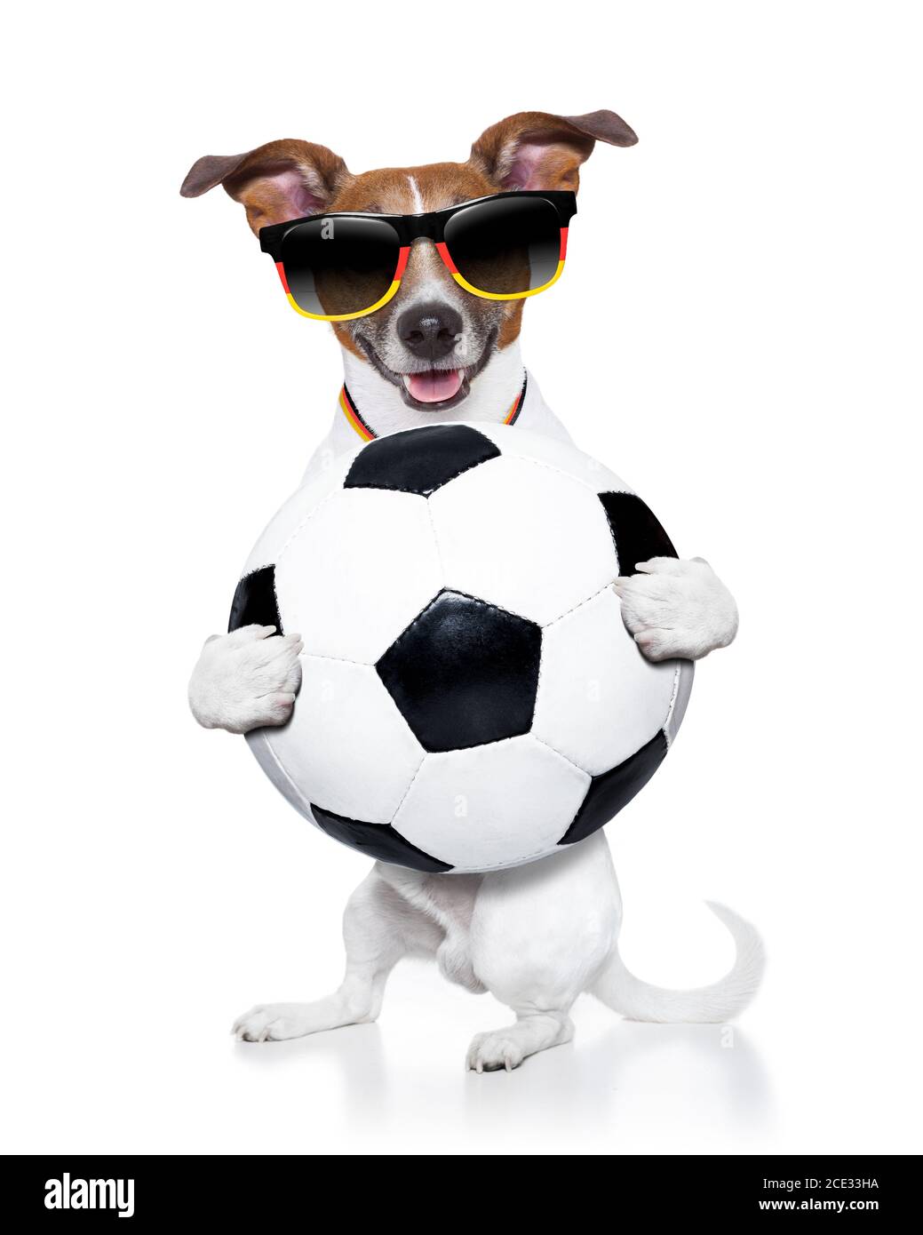 german soccer dog Stock Photo - Alamy