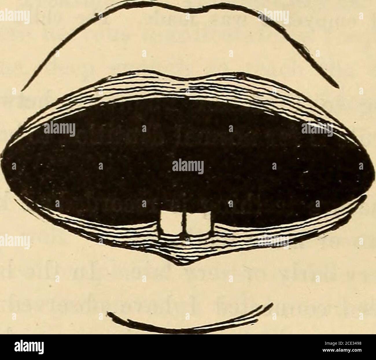 Glycerophosphate hi-res stock photography and images - Alamy