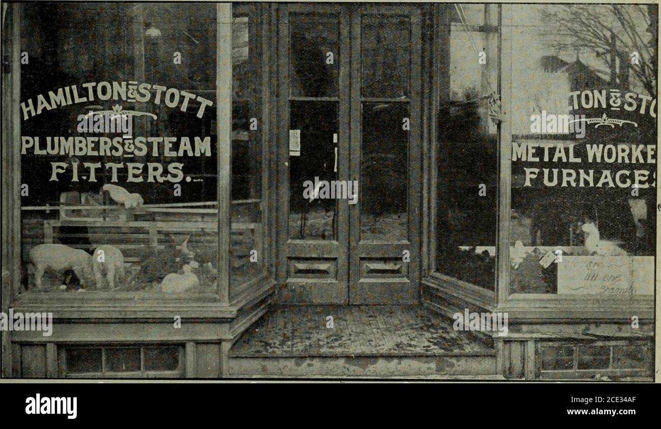 Apigeon hi-res stock photography and images - Alamy