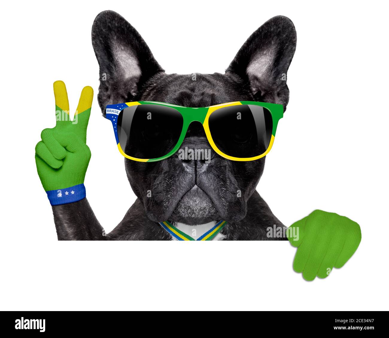 brazil soccer dog Stock Photo - Alamy