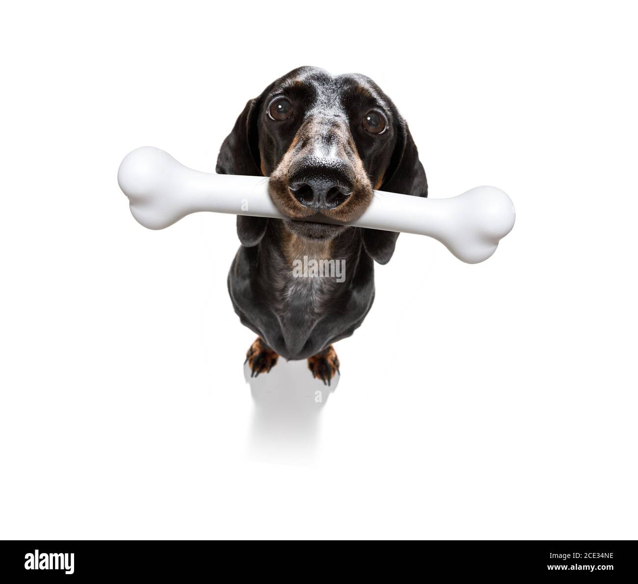 Big mouth poster Cut Out Stock Images & Pictures - Alamy