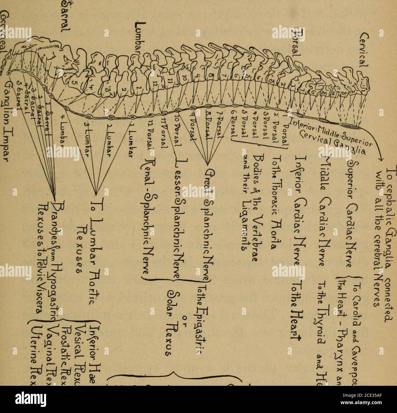 . A treatise on practical anatomy: for students of anatomy and surgery ...