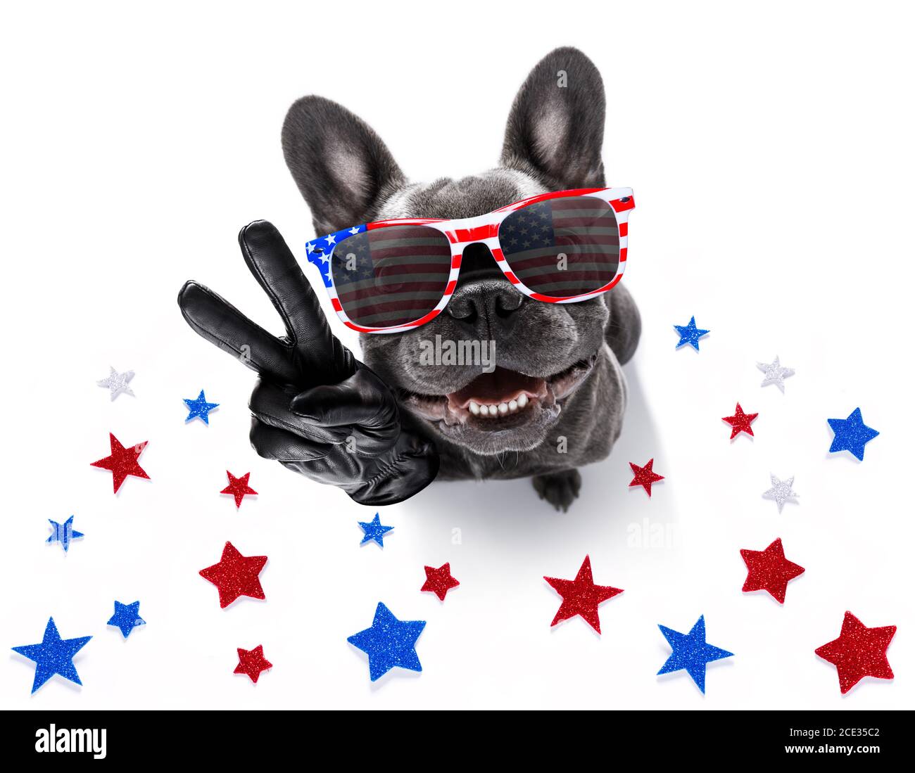independence day 4th of july dog Stock Photo - Alamy