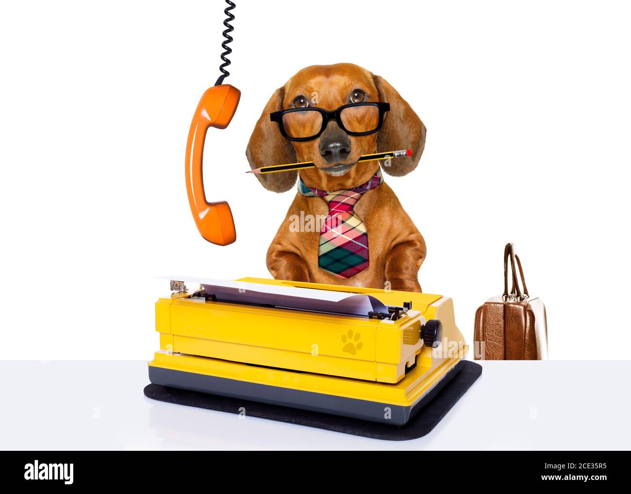 office worker boss dog Stock Photo - Alamy