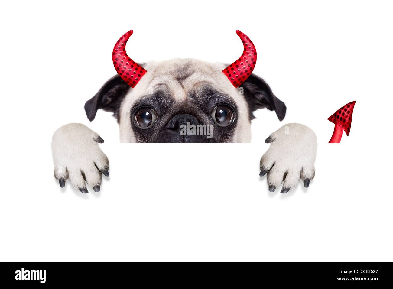 halloween devil dog Stock Photo - Alamy