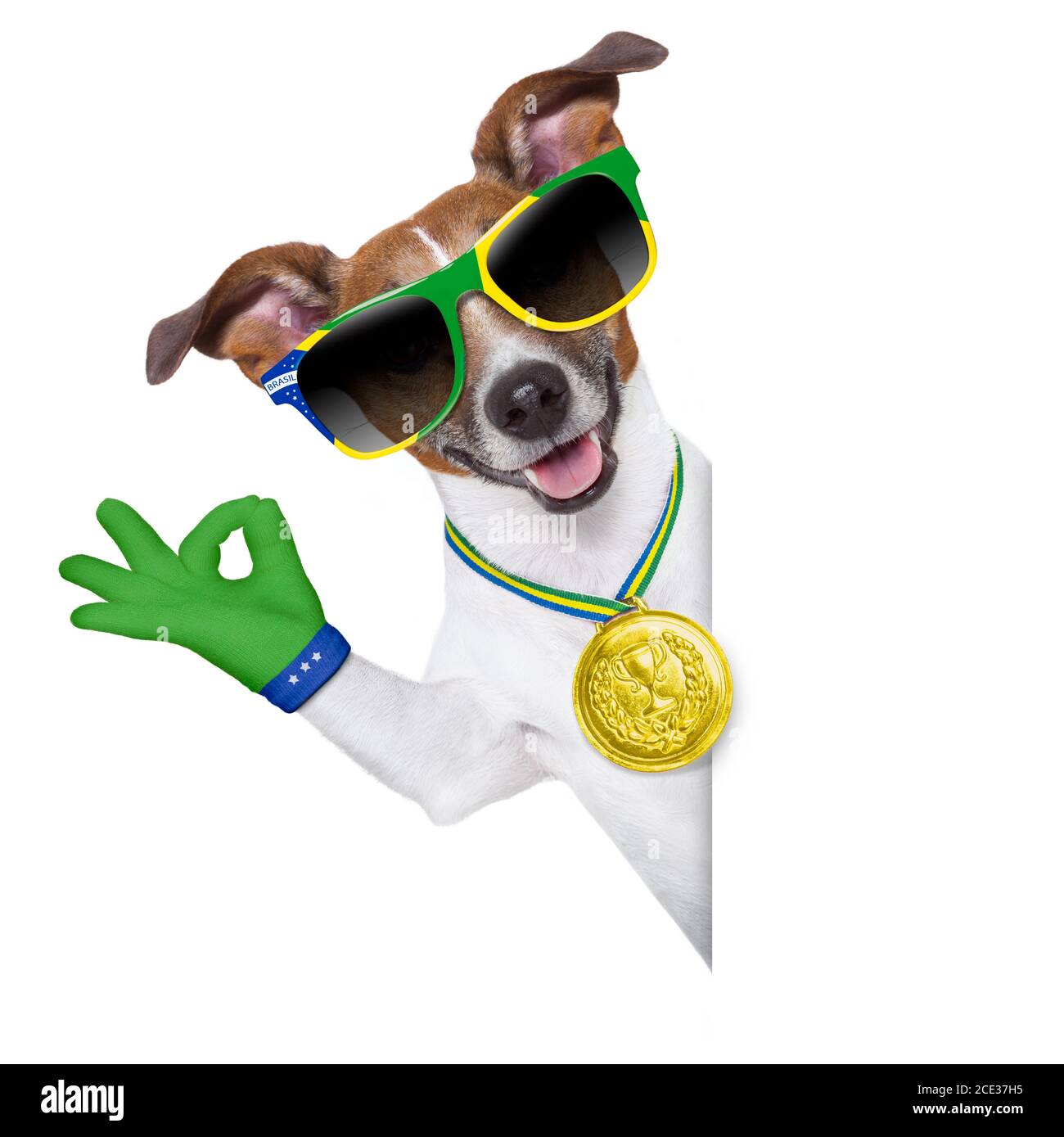 brazil soccer dog Stock Photo - Alamy