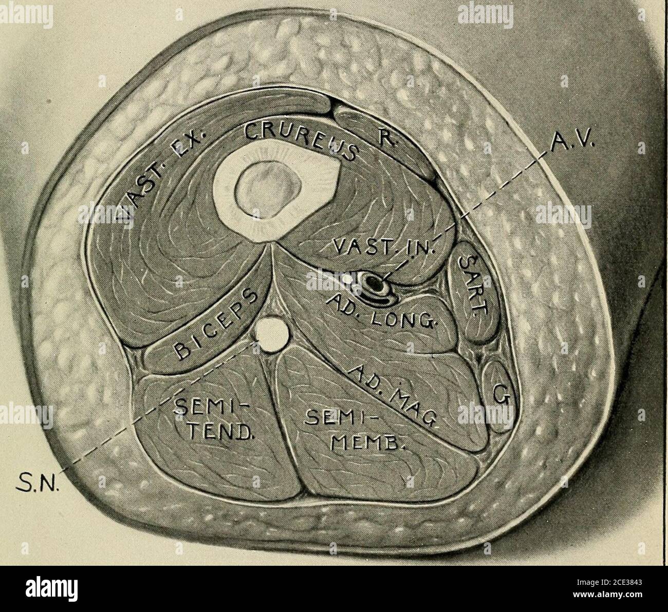 . Operative surgery, for students and practitioners . hey are of little ...