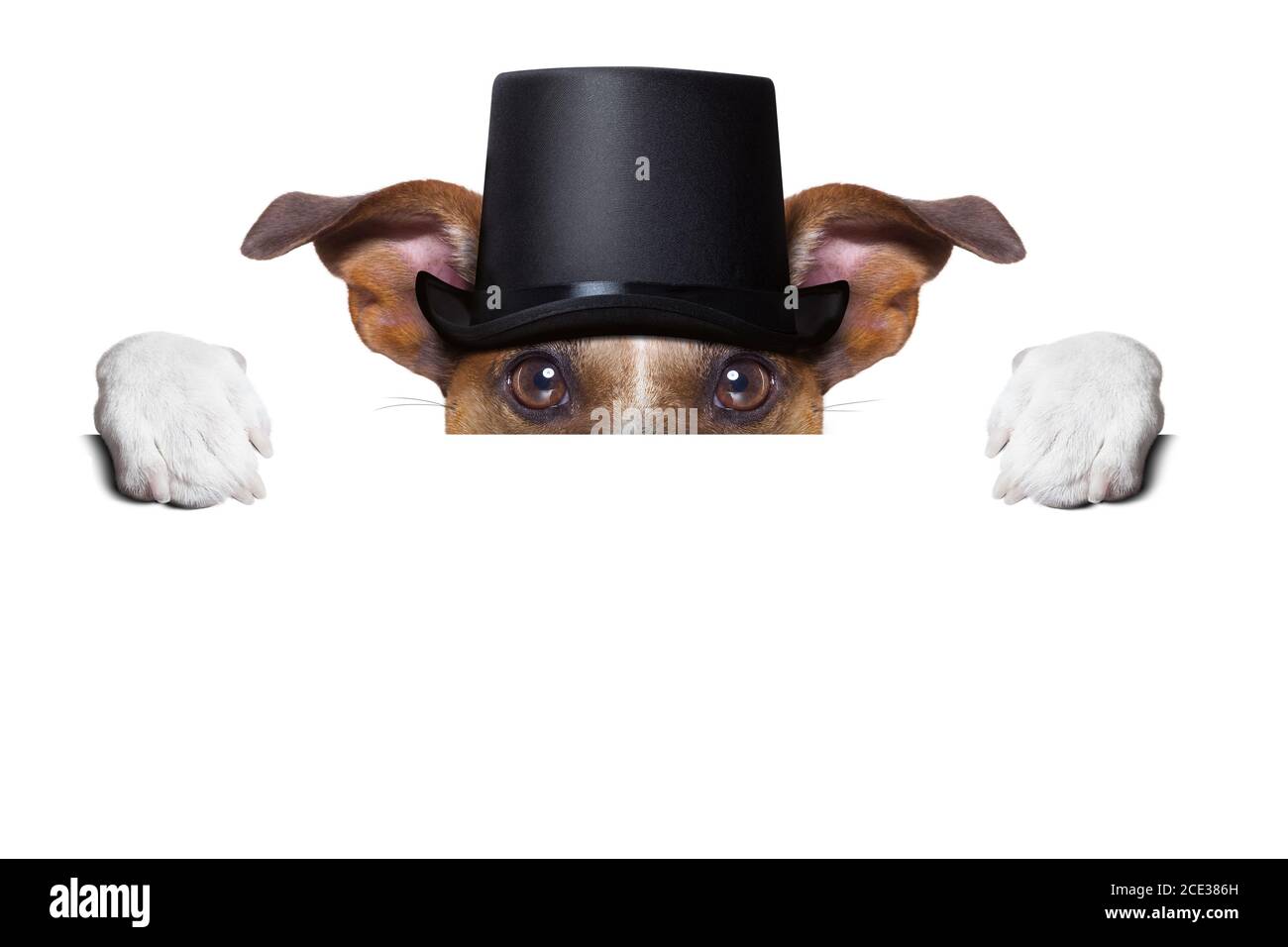 Tie toasting hi-res stock photography and images - Alamy