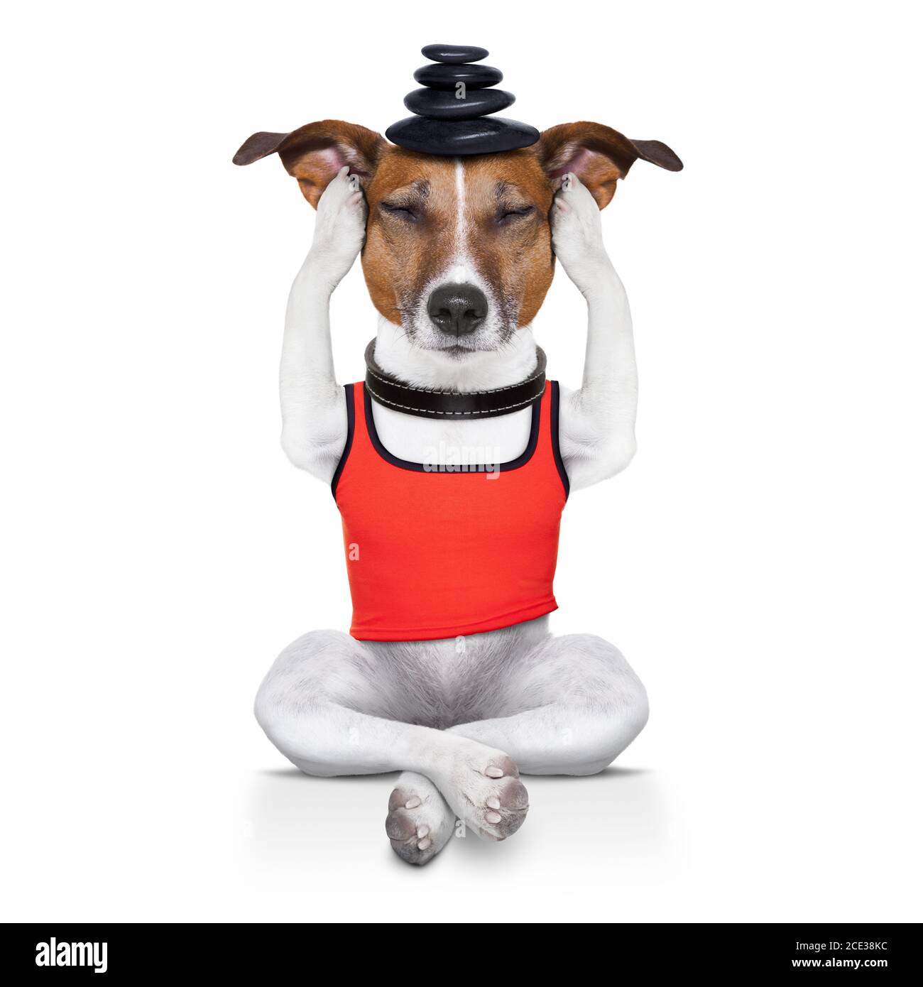 Funny yoga wellness Cut Out Stock Images & Pictures - Alamy