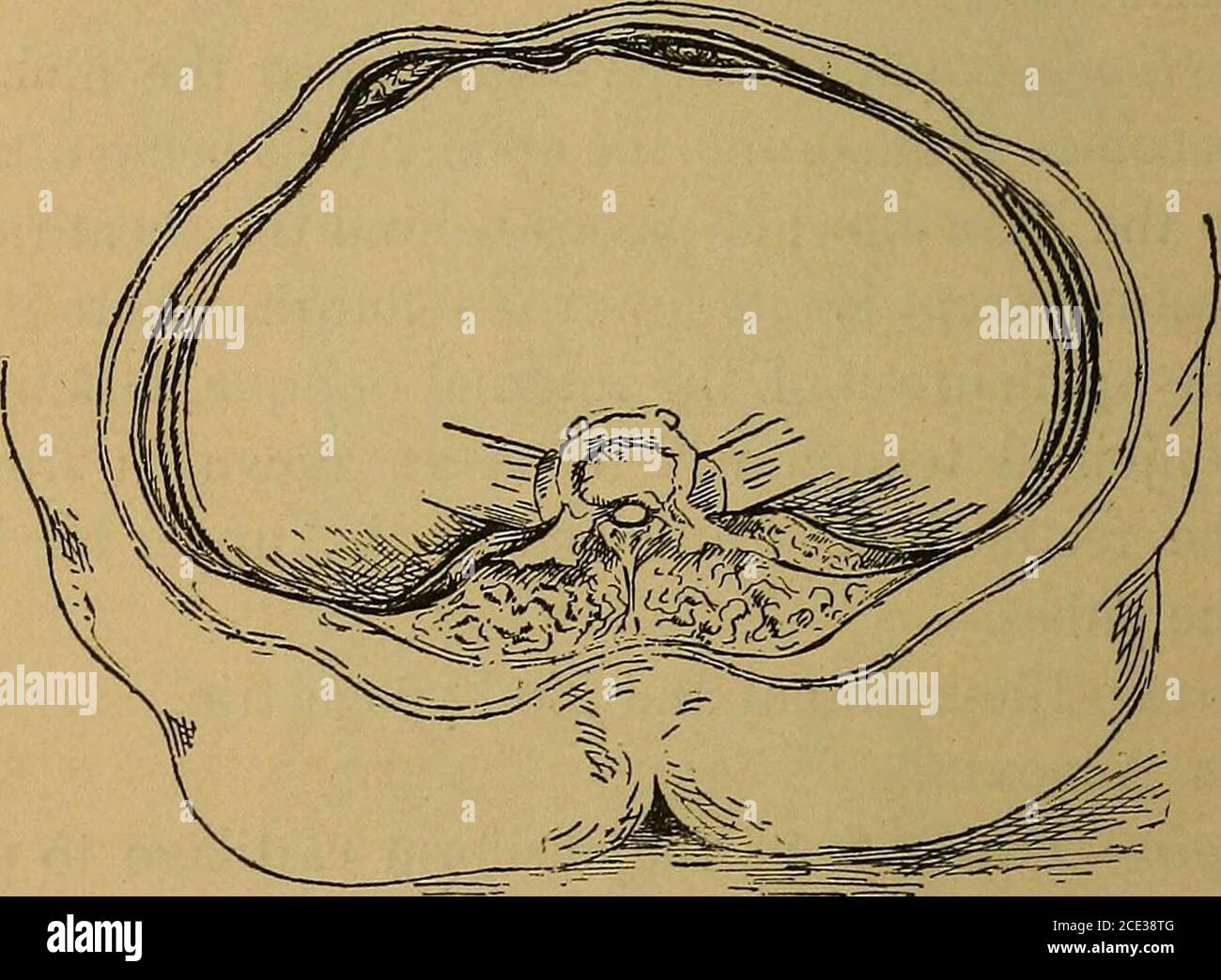 . A treatise on practical anatomy: for students of anatomy and surgery ...