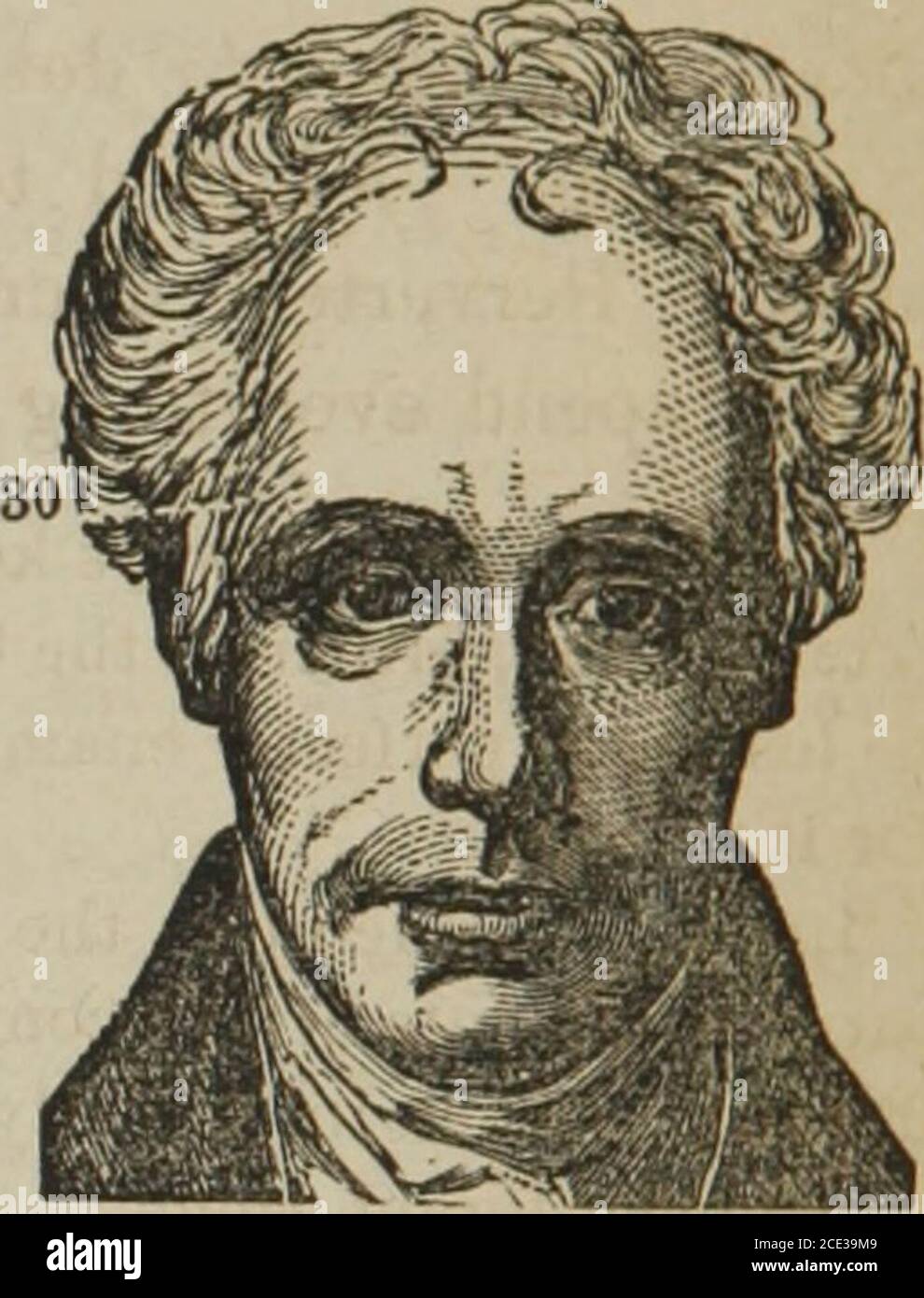 Phrenology head chart hi-res stock photography and images - Alamy