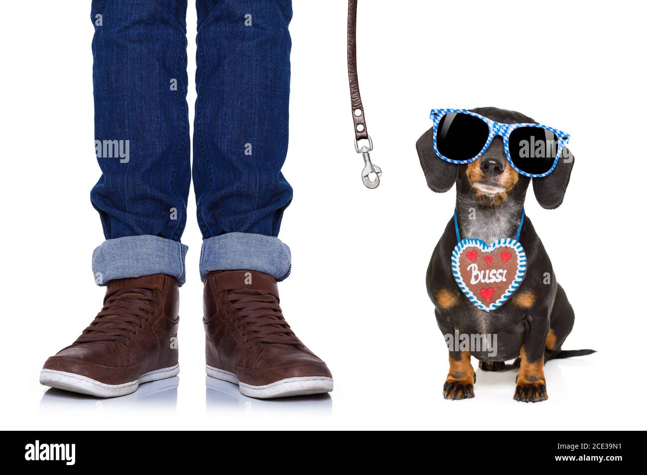 bavarian beer dachshund sausage dog Stock Photo - Alamy