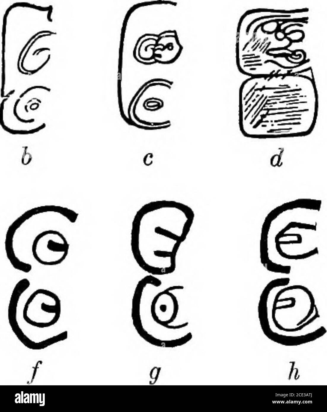 . An introduction to the study of the Maya hieroglyphs . zed.Moreover ...