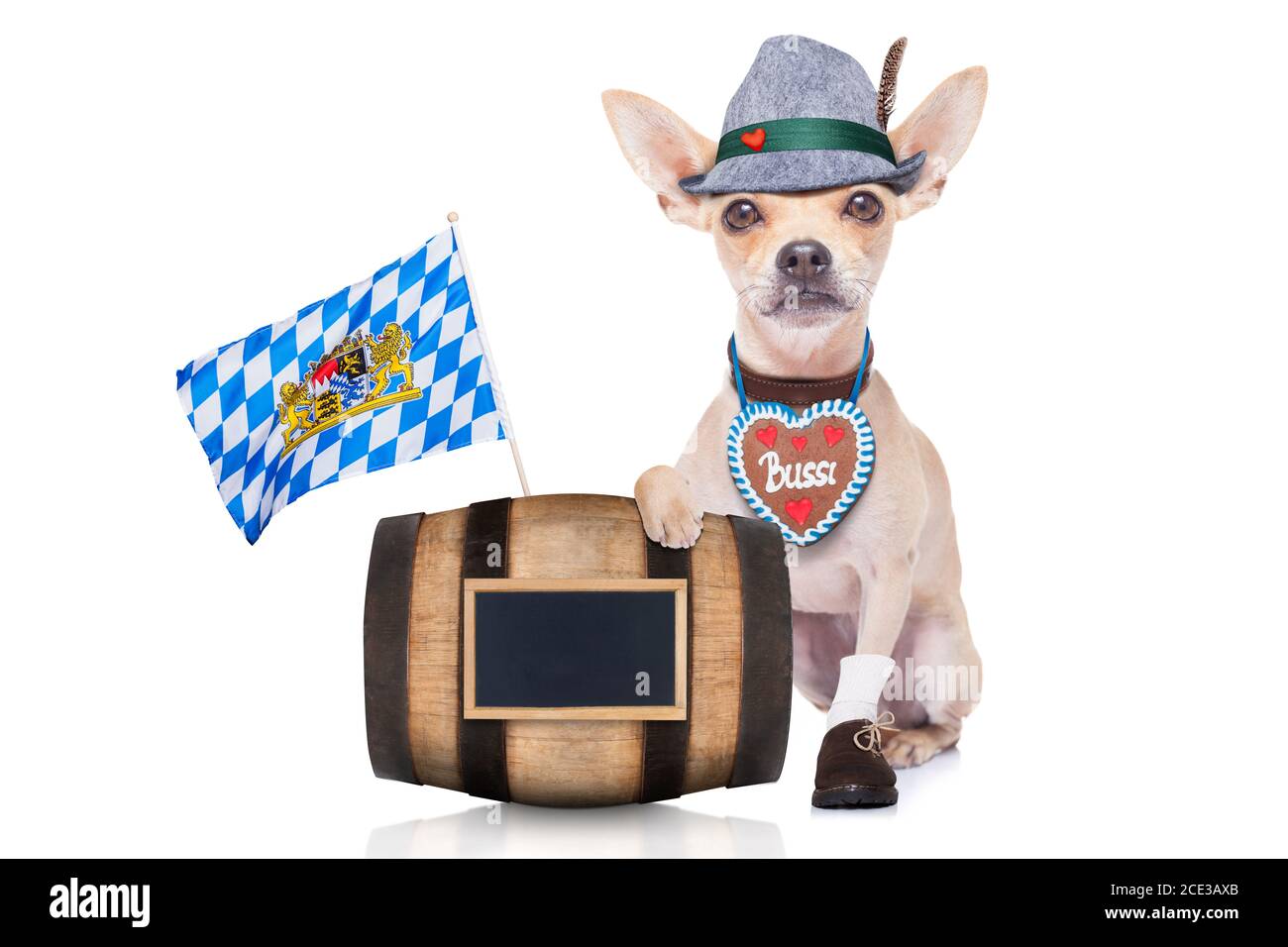 bavarian beer dog Stock Photo - Alamy
