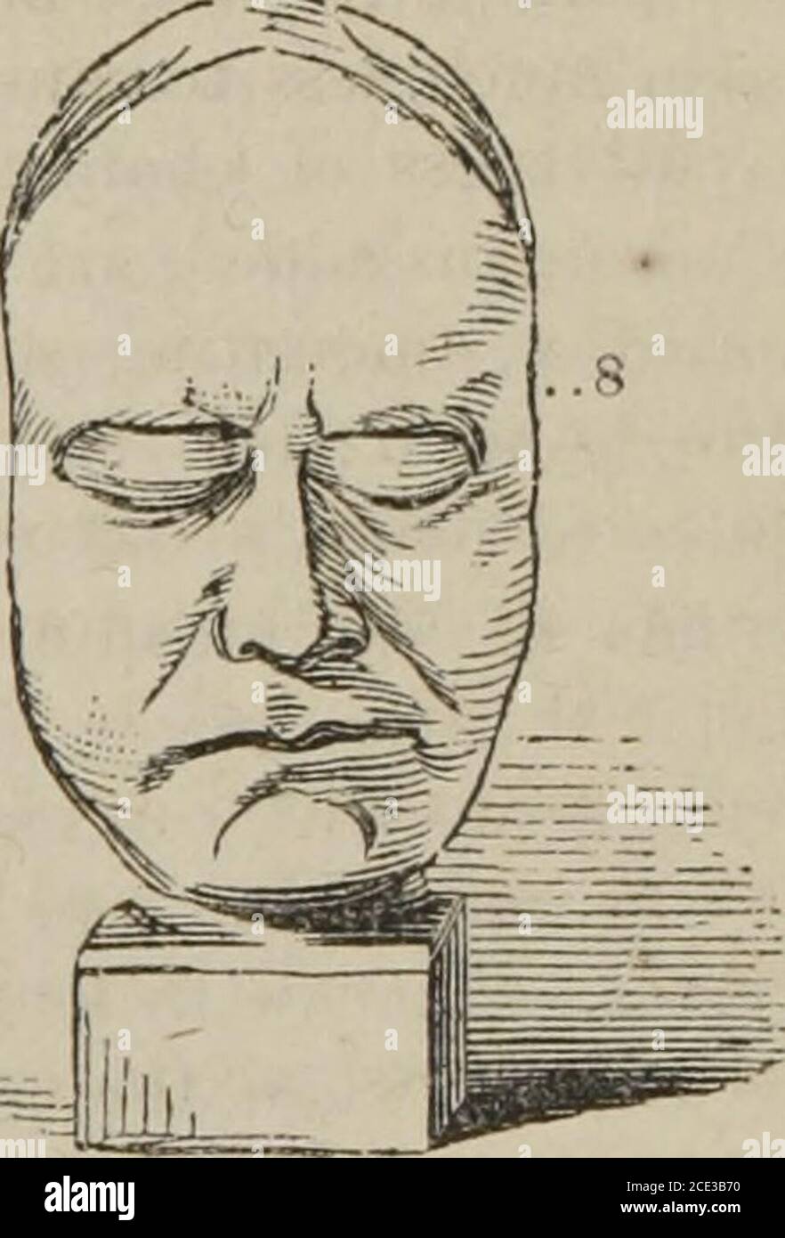. The illustrated self-instructor in phrenology and physiology : with ...