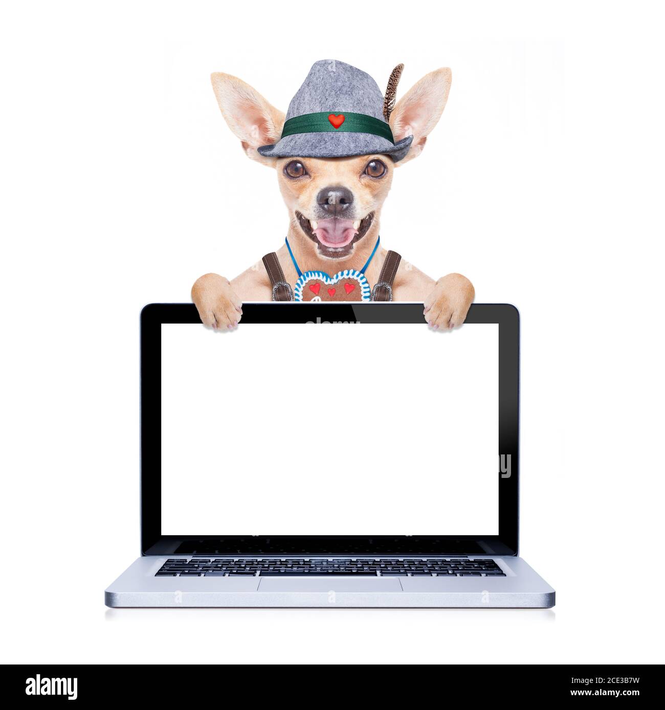 Beer display Cut Out Stock Images & Pictures - Alamy