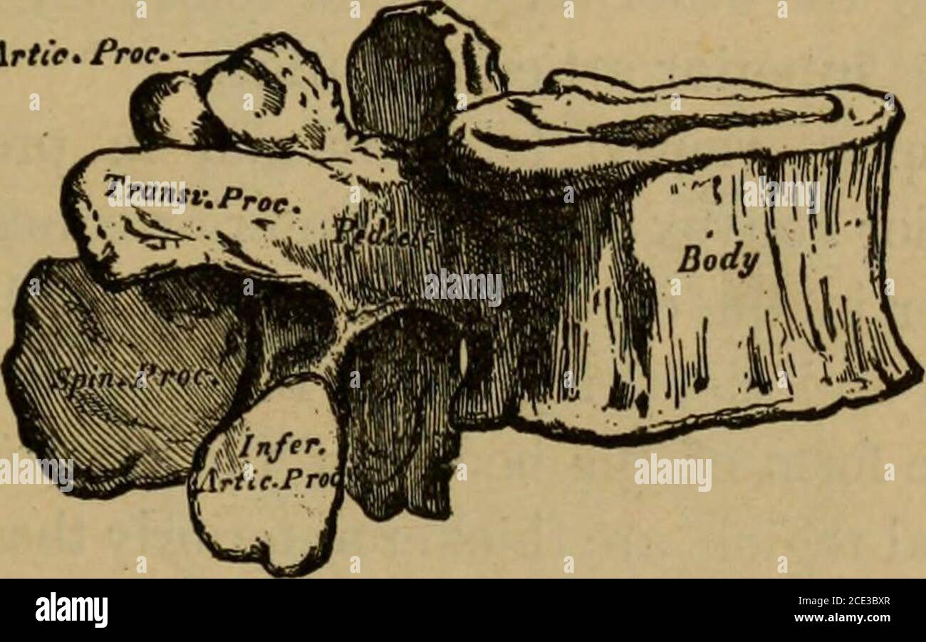 Jari project hi-res stock photography and images - Alamy