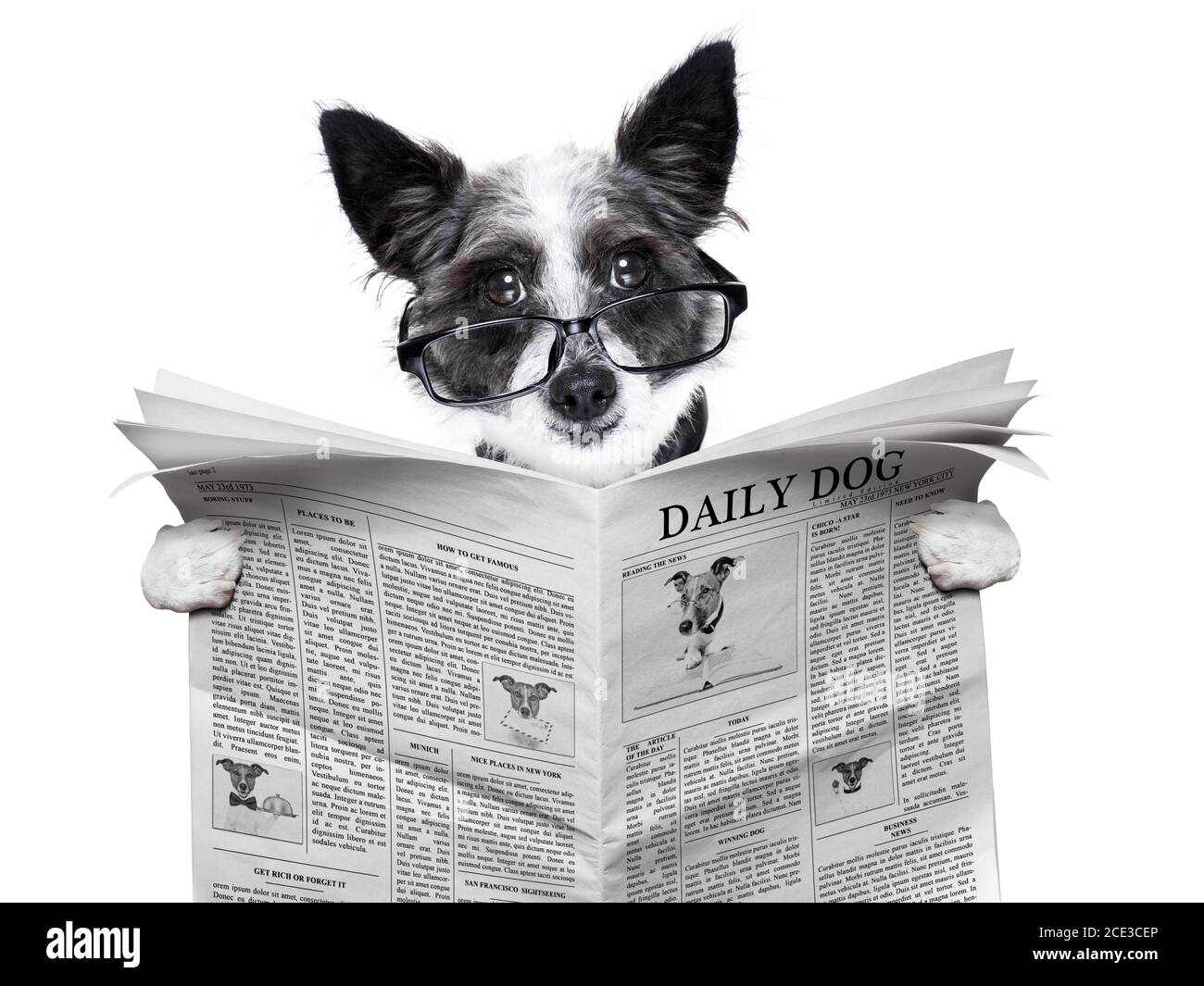 Newspaper headline funny hi-res stock photography and images - Alamy