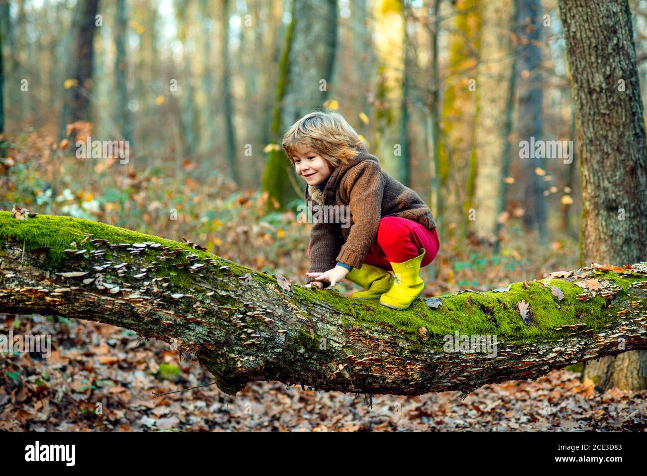 Child falling tree hi-res stock photography and images - Alamy