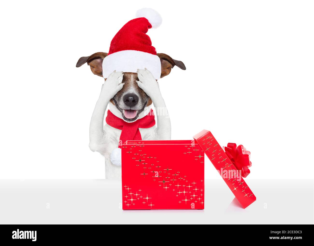 Surprised dog hi-res stock photography and images - Alamy