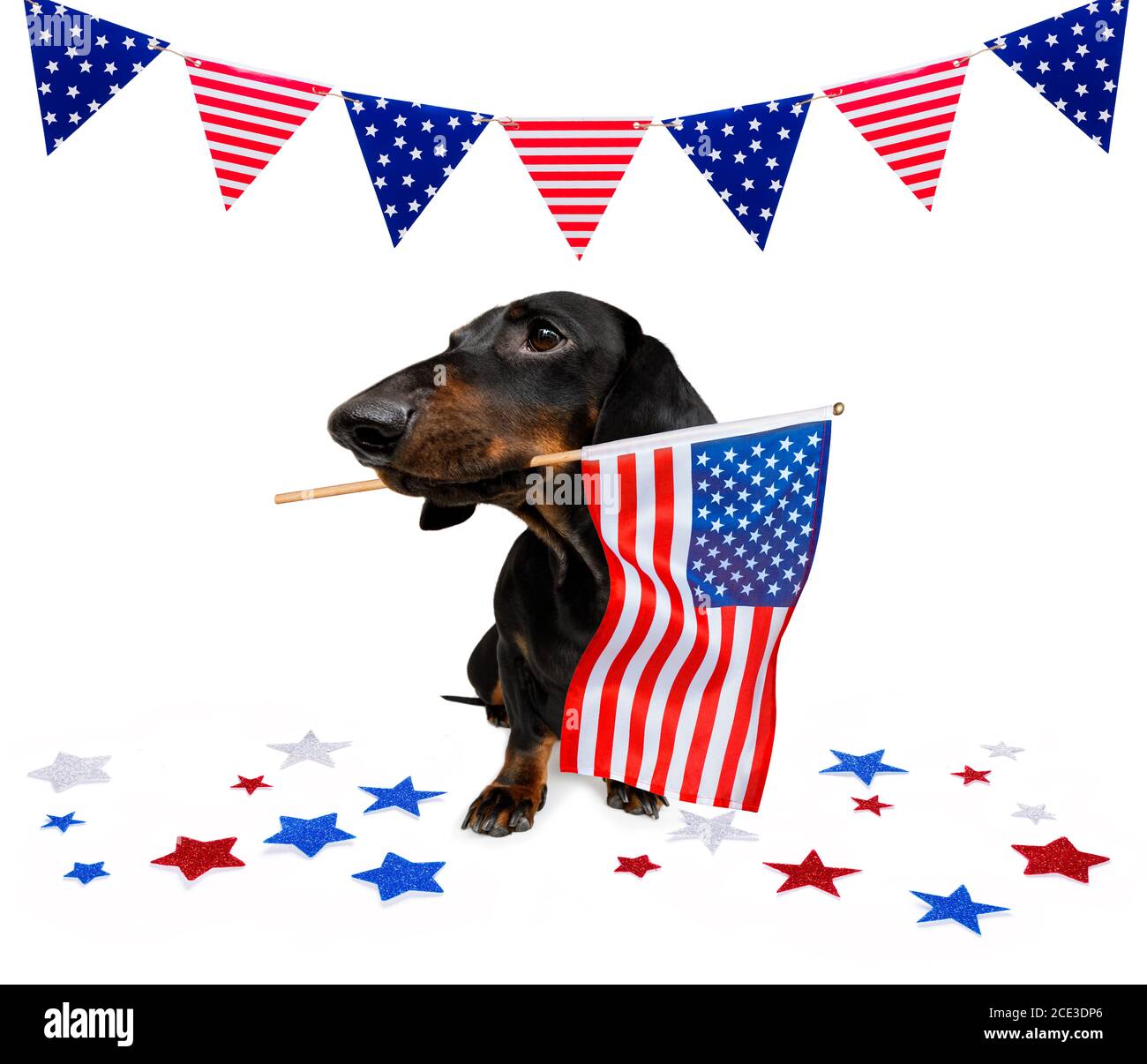 independence day 4th of july dog Stock Photo - Alamy