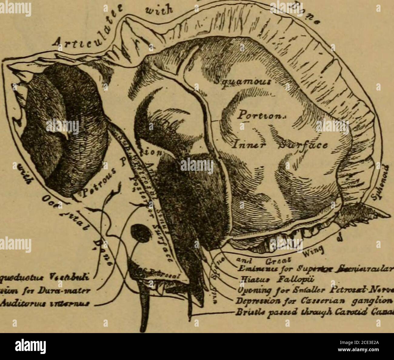 . A treatise on practical anatomy: for students of anatomy and surgery ...