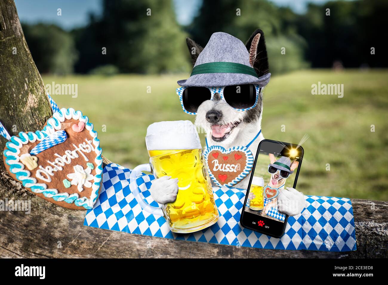 bavarian beer dog Stock Photo - Alamy