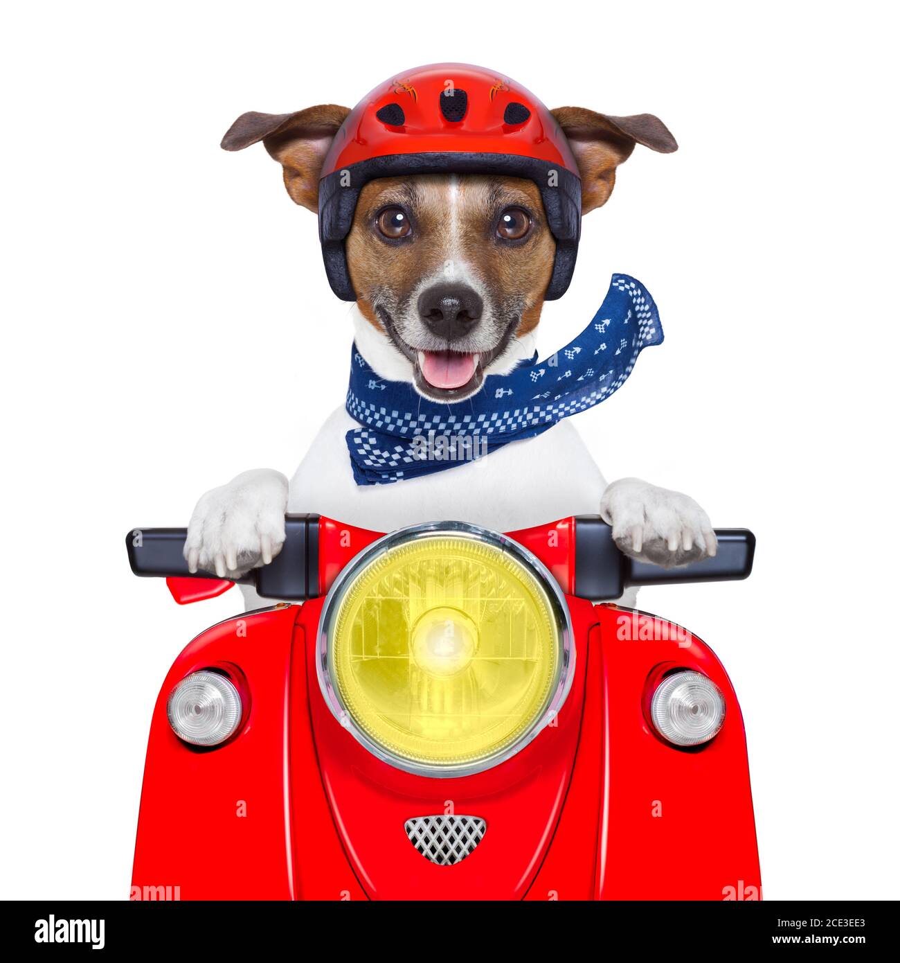 Motorcycle dog hi-res stock photography and images - Alamy