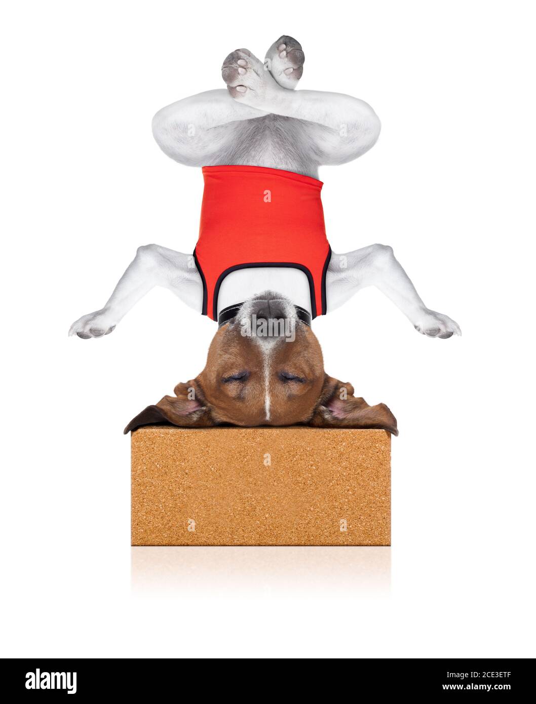 Funny yoga wellness Cut Out Stock Images & Pictures - Alamy