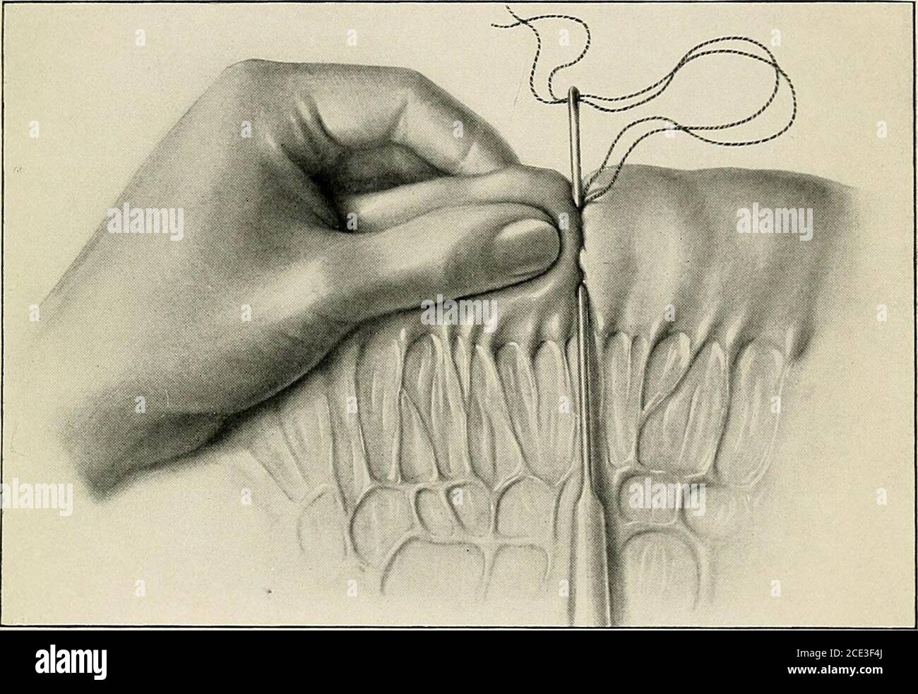 Gut knot hi-res stock photography and images - Alamy