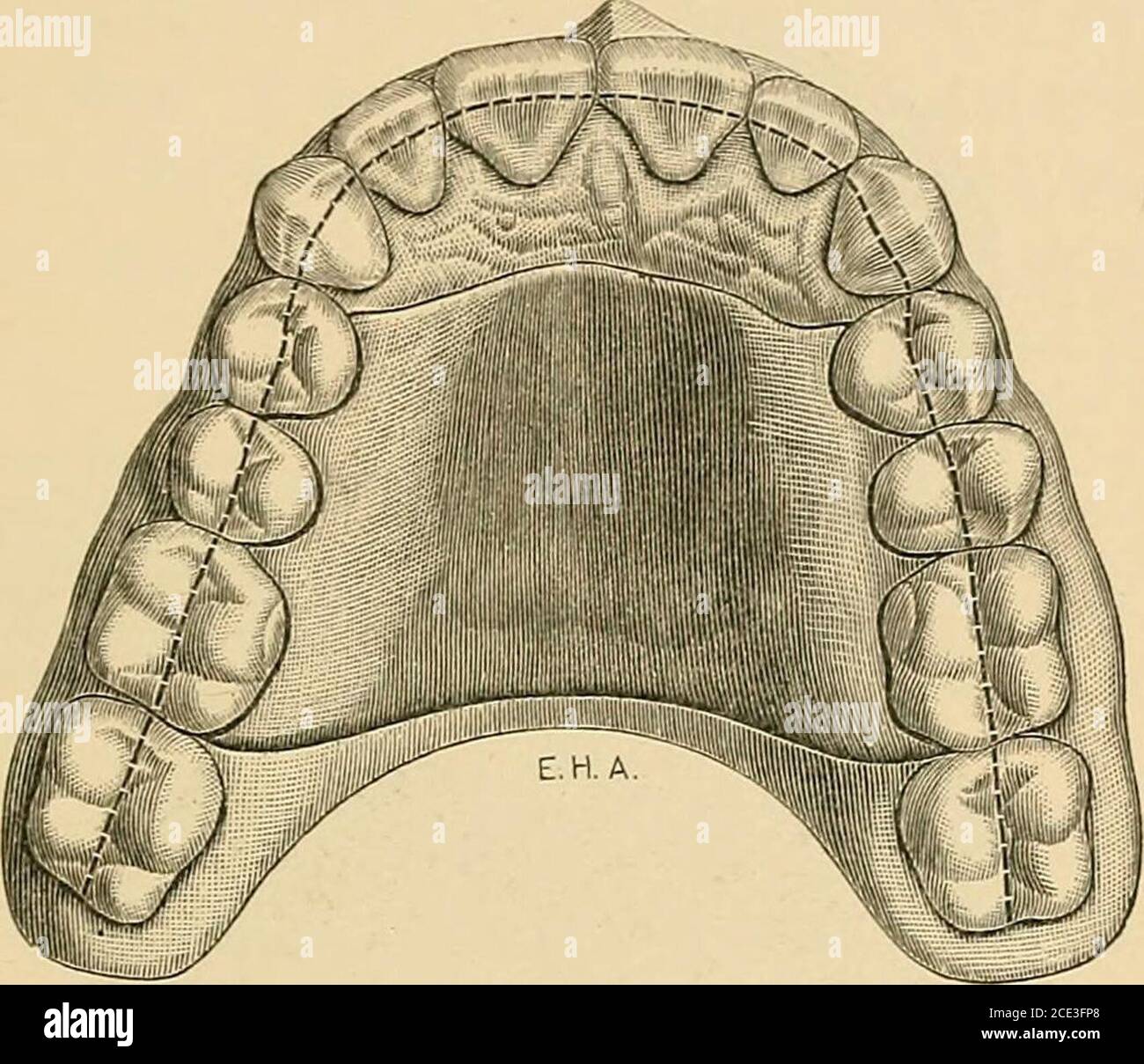 . A manual of mechanical dentistry and metallurgy . ing desirable to ...