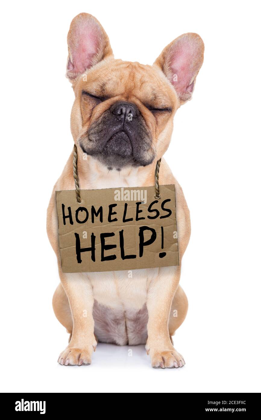 Homeless cardboard shelter Cut Out Stock Images & Pictures - Alamy