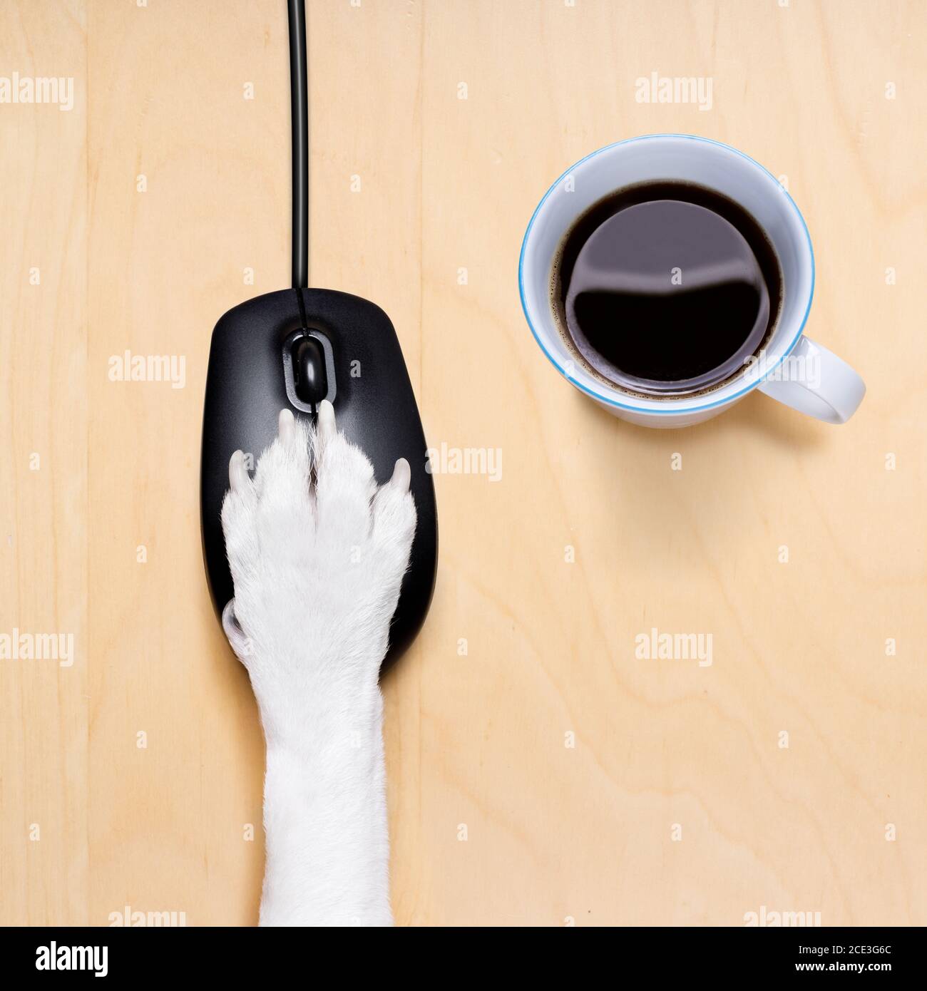 Placard computer network hi-res stock photography and images - Alamy