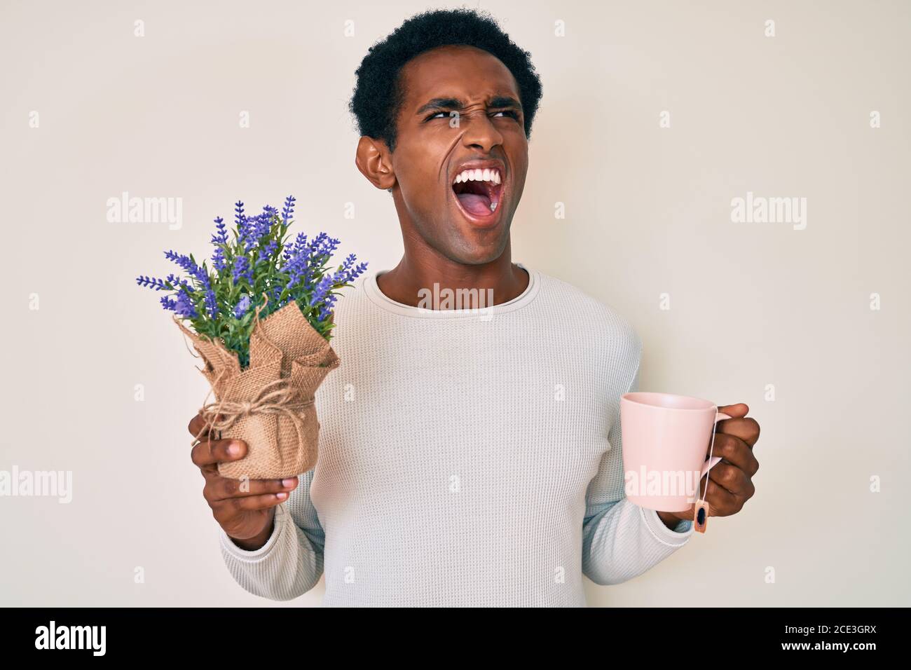 Indian man drinking a cup of infused lavender angry and mad screaming ...