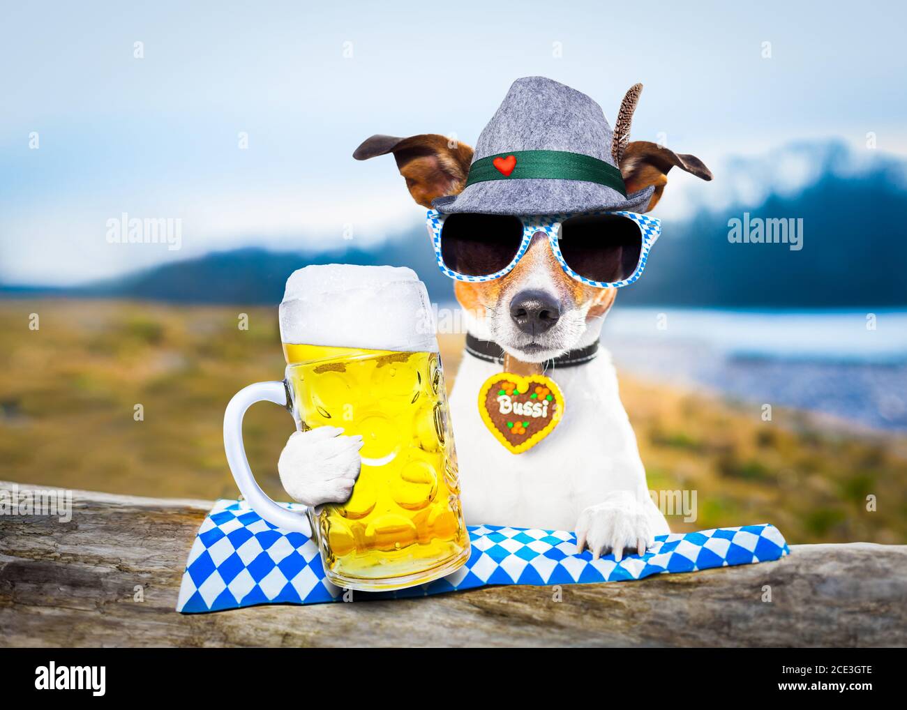 bavarian beer dog Stock Photo - Alamy