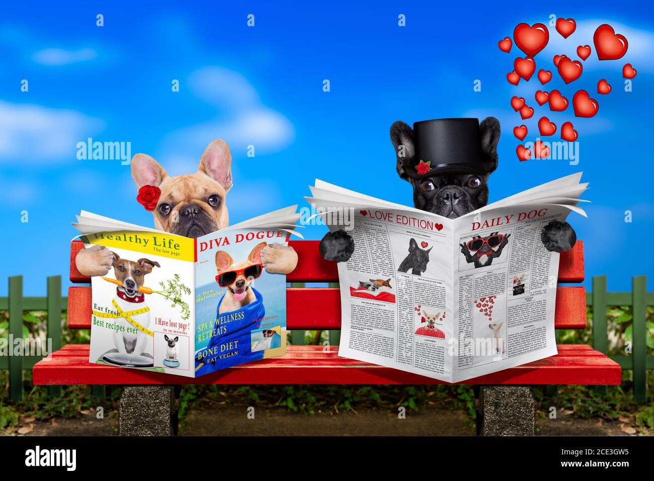 Married dogs hi-res stock photography and images - Alamy