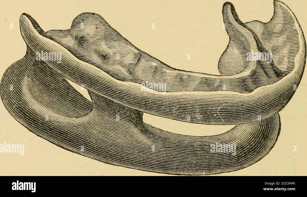 Flasking hi-res stock photography and images - Alamy