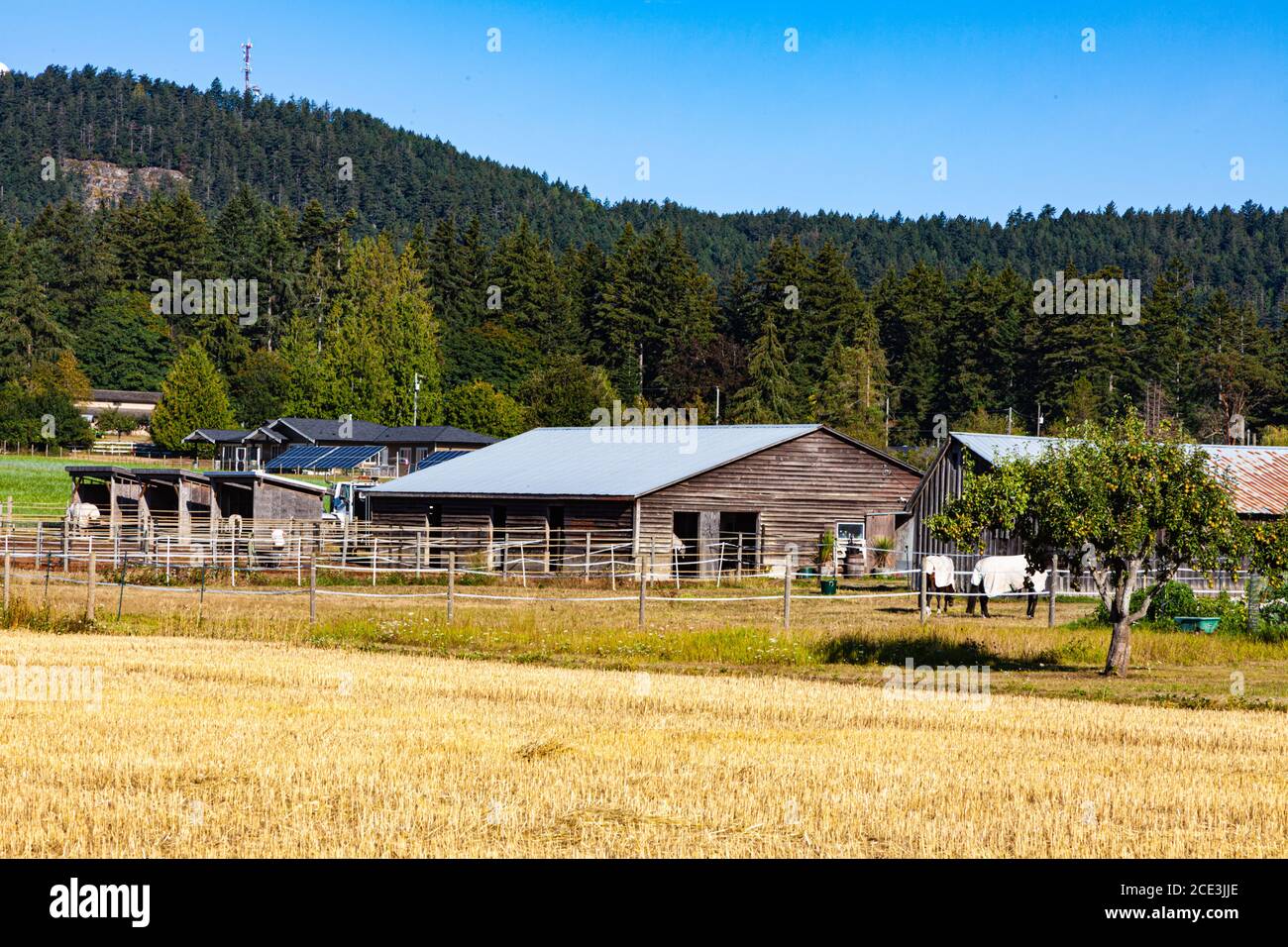 Saanich hi-res stock photography and images - Alamy