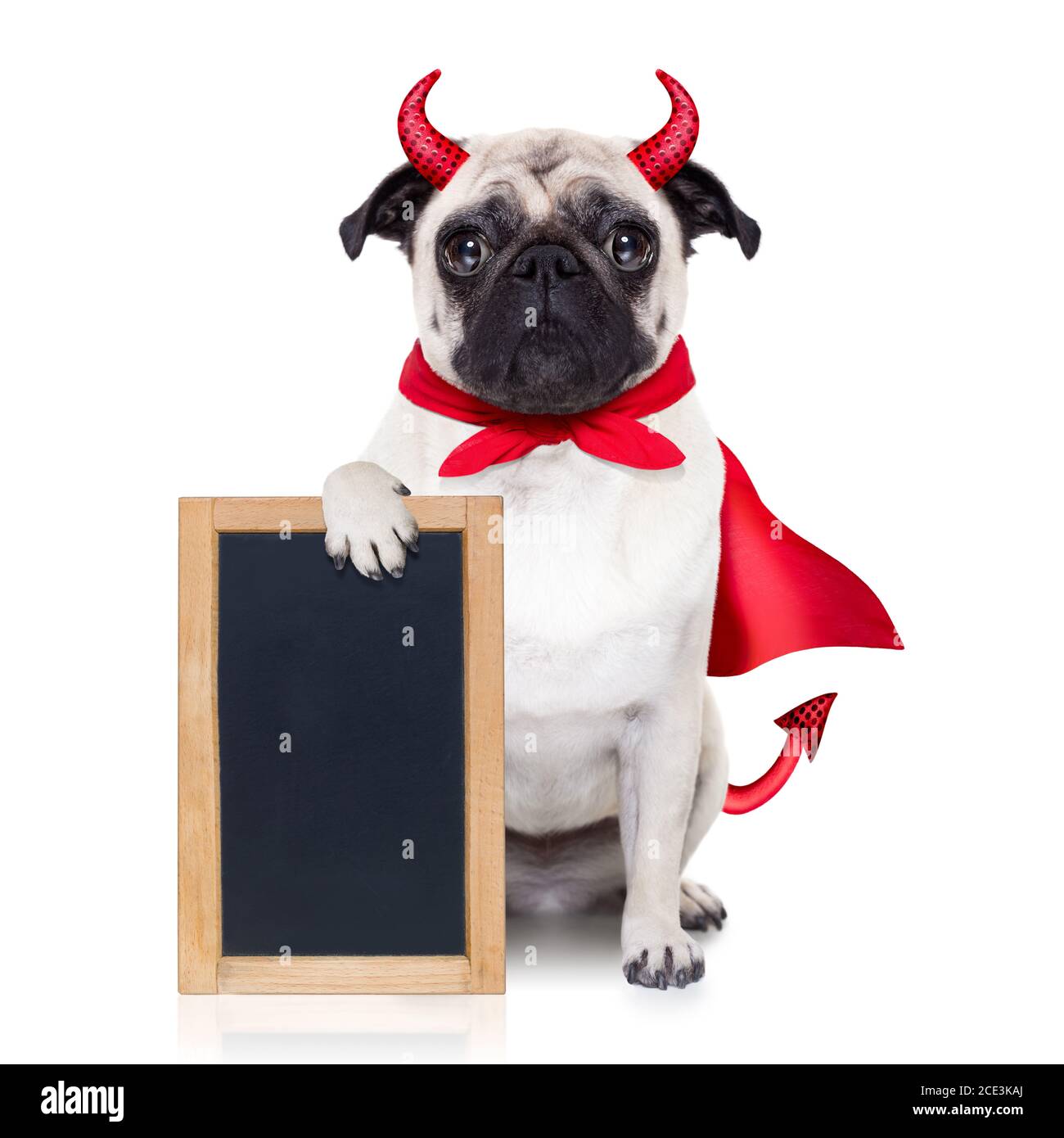 halloween devil dog Stock Photo - Alamy