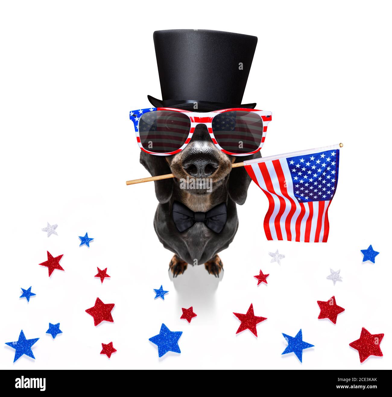 independence day 4th of july dog Stock Photo - Alamy