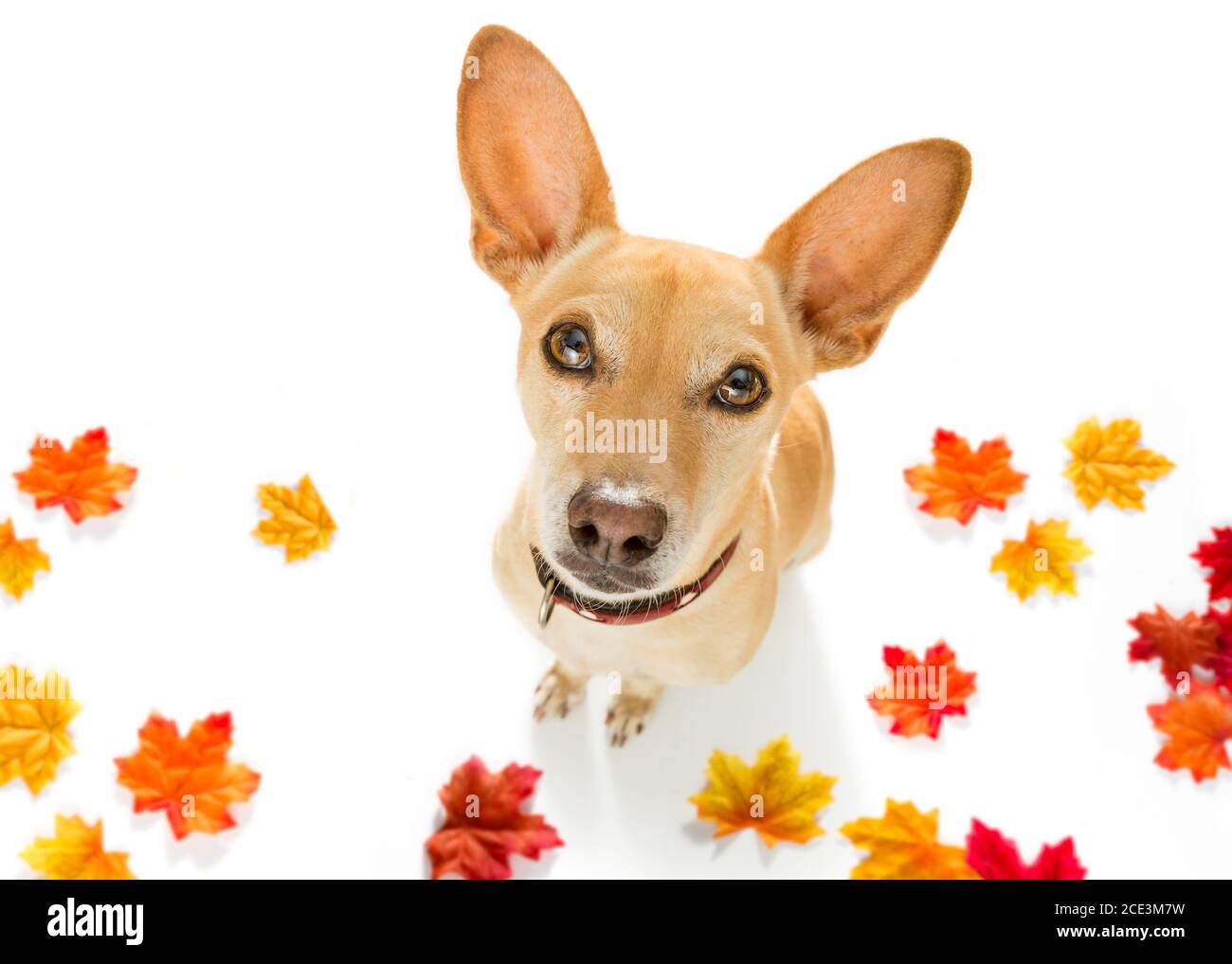 Waiting punishment hi-res stock photography and images - Alamy