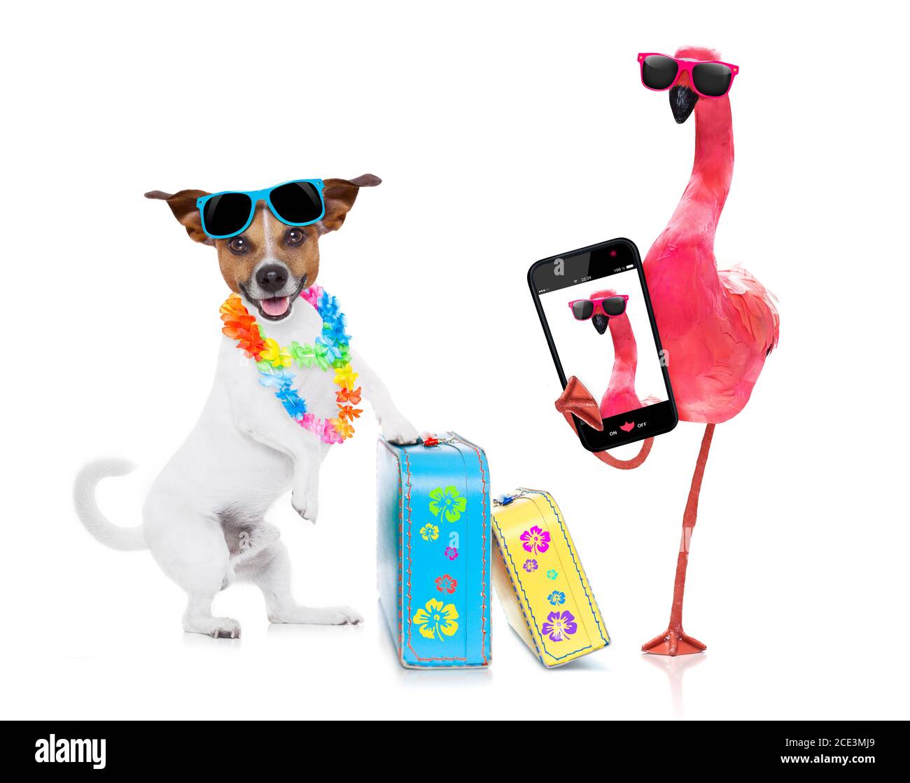 Sunbathe summer Cut Out Stock Images & Pictures - Alamy