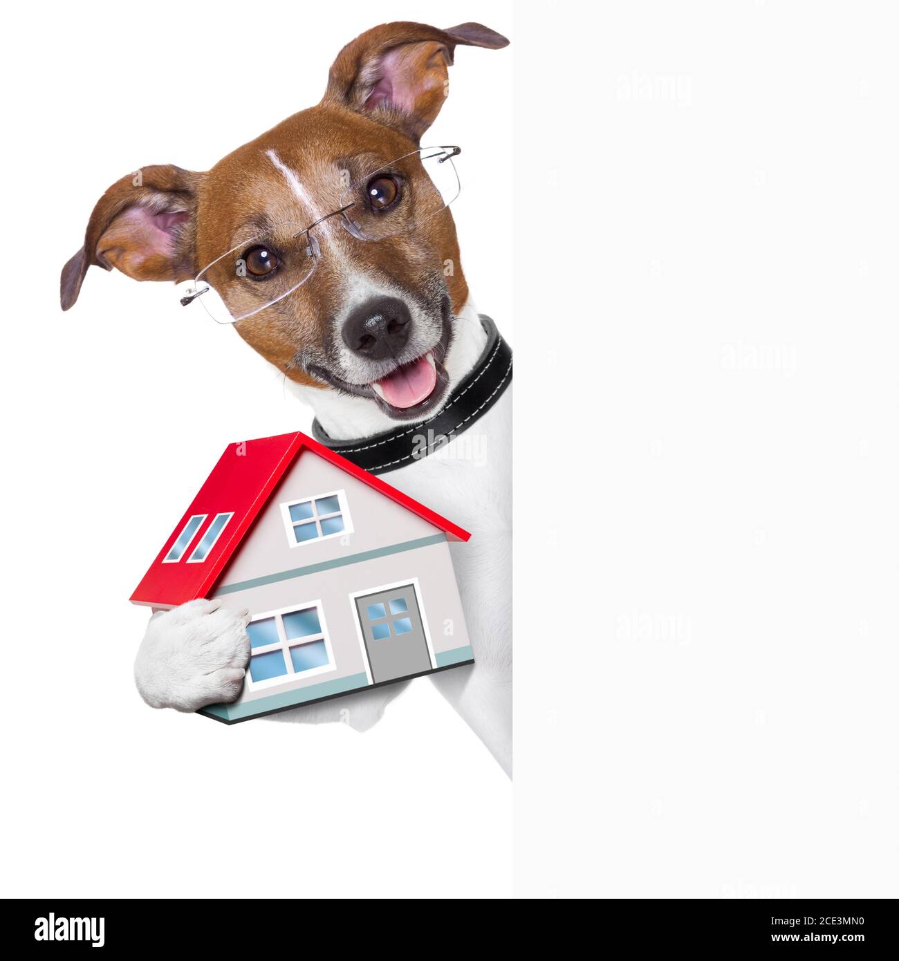 Dog house blank banner dog hi-res stock photography and images - Alamy